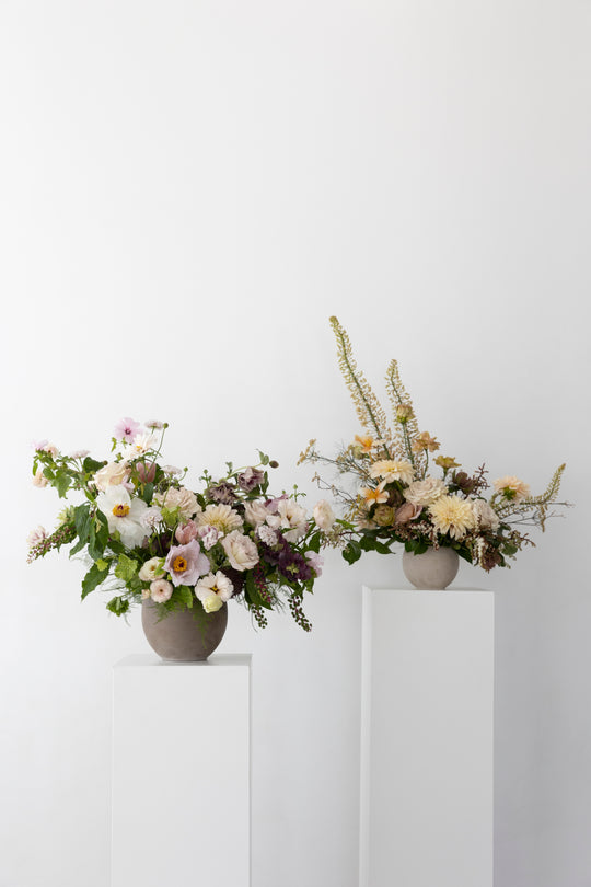 Same Day Flower Delivery | Send Flowers & Exclusive Gift - Fiore